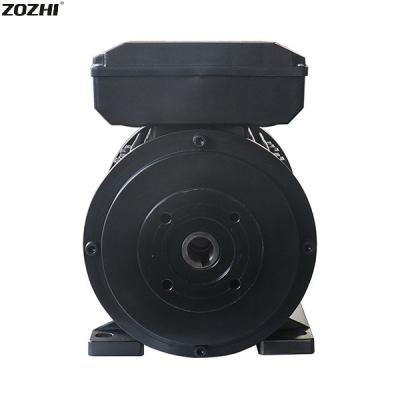 중국 Lighweight 비동시성 빈 갱구 모터 4 폴란드 시계 방향으로 도는 교체 방향 판매용