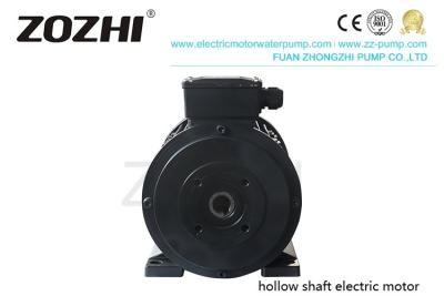 China 3kW Three-Phase Hollow Shaft Waterproof Motor for High Pressure Pump for sale