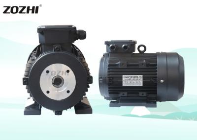 中国 女性シャフト3段階の電動機400のボルト5.5hp 4kw 1400rpm 24mmの省エネ 販売のため