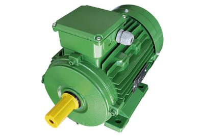 Cina motore asincrono di CA della gabbia di scoiattolo di 50Hz 3kw 3000rpm in vendita