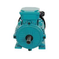 China 4 Pole 0.75kw 1HP Three Phase Asynchronous Motor MS802-4 for sale