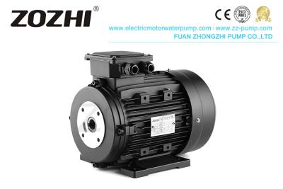 Cina 100 mm lunghezza dell'albero motore all'albero cavo con classe di protezione IP55 in vendita