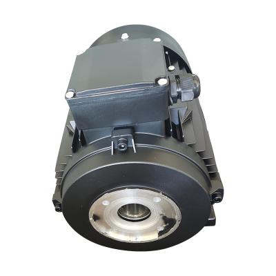 中国 右回り回転24mm 220-380V IE2空シャフト モーター 販売のため