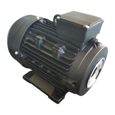 中国 右回り回転24mm 220-380V IE2空シャフト モーター 販売のため