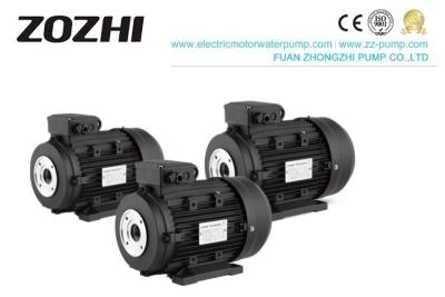 중국 다이-캐스트 알루미늄 중공 샤프트 모터 IP44 3상 HS 시리즈 380V 판매용