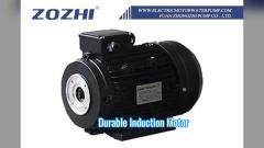 Industrial Induction Motor  Frame Reliable Power
