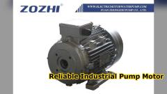 Industrial Hollow Shaft Motor For Water Pumps