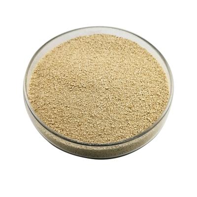 Cina Polvere multivitaminica ad alto contenuto di lisina per pollame, bovini e ovini 98,9% Contenuto di L-lisina HCL in vendita
