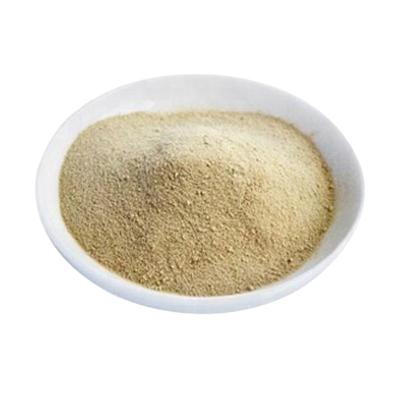 Cina Residui all'accensione fino a L-lisina HCL in polvere standard al 98% per additivo per mangimi in vendita