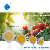 China LED COB For Wall Lamp And Spotlight for sale