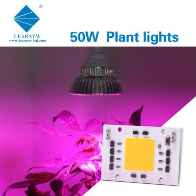 China Full Spectrum AC 50w LED COB Chip 200v 240v 4046 AC LED Chip For Grow Light for sale