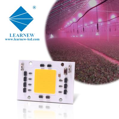 China Full Spectrum AC 50w LED COB Chip 200v 240v 4046 AC LED Chip For Grow Light for sale