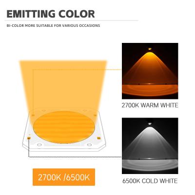 China Dual Color COB 6060 Bi Color LED COB Widely Range Color DC 205V 300w+300w LED COB Chip for sale