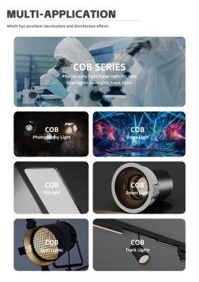 China Dual Color COB 6060 Bi Color LED COB Widely Range Color DC 205V 300w+300w LED COB Chip for sale