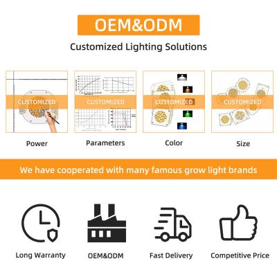 China Dual Color COB 6060 Bi Color LED COB Widely Range Color DC 205V 300w+300w LED COB Chip for sale