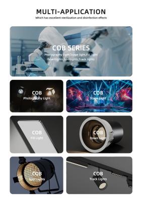 Cina Factory Customization Lampada fotografica ad alta potenza Bi Color 18W 24W 25W 30W 1919 Cob Led Chip in vendita