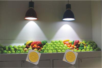 Китай удар 4800-5300K приведенный 30W откалывает высокий обломок Epistar света Cri свежий продается