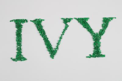 Cina Chips per bottiglie in PET di plastica per l'applicazione in bottiglia in bianco verde blu in vendita