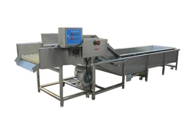 China Best-selling fruit and vegetable washer / bubble washer for sale