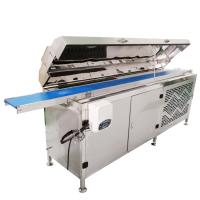 China CE Certified 3.2m Chocolate Cooling Tunnel with 200mm/300mm Belt Width and -20°C Cooling Capacity for sale