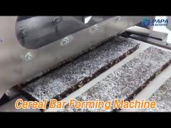 Máquinas para o tratamento de matérias gordas com controlo automático (PLC)