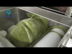 Papa P160 Automatic ice cream Mochi Encrusting Machine