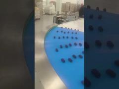 Linha de fluxo totalmente automático da máquina de envolvimento do alimento da barra de chocolate/da máquina embalagem do biscoito/bolo