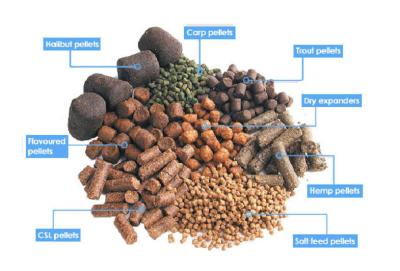 China 37KW Floating Fish Poultry Animal Feed Pellet Machine 2.10*1.145*1.35m for sale