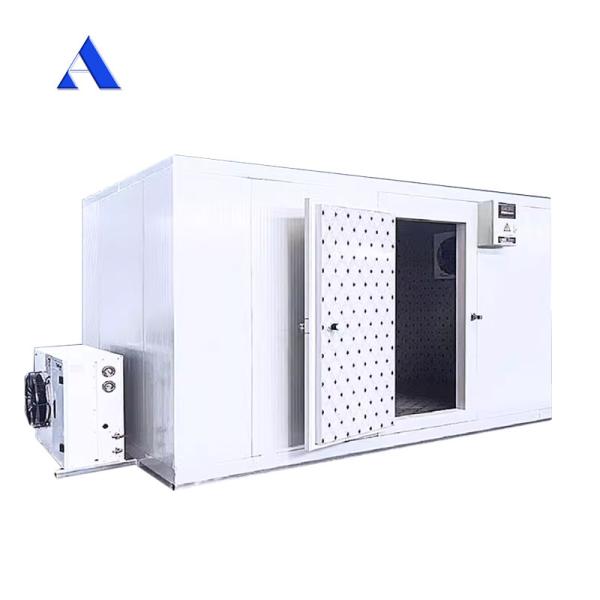 Quality Stainless Steel Inside Wall 40ft x 20ft Dual Temperature Chiller and Freezer for sale