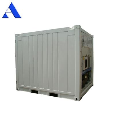 China 10ft DNV 2.7-1 Certified Offshore Reefer Accommodation Container in Stainless Steel and Corten Aluminium for 50/60Hz for sale