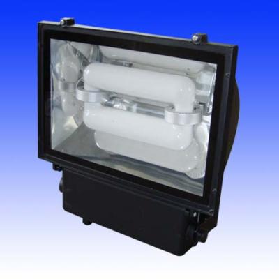 China Induction lamp - floodlights-TG129 for sale