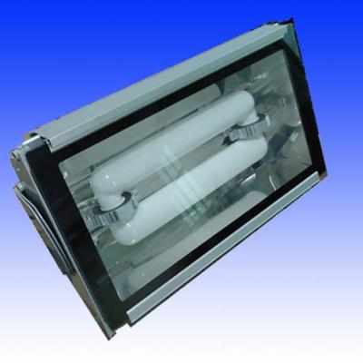 China 300W Tunnel lighting | Induction lamps | Outdoor lighting for sale