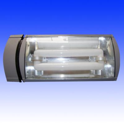 China 300W Tunnel lighting | Induction lamps | Floodlight for sale