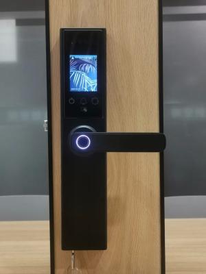 Cina Smart Face ID Front Door Lock Tuya Smartphone Ekey Fingerprint Code Card Access in vendita