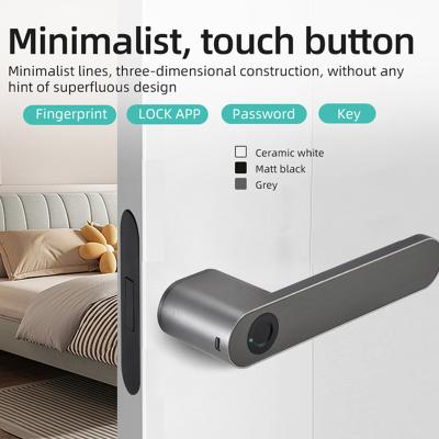 China Digital Biometric Smart Fingerprint Door Lock Aviation Aluminium Alloy For Office Te koop