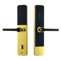 China Copper Smart TTLock Digital Door Lock Smartphone EKey Fingerprint Passcode Access for sale