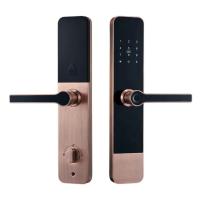 China Copper Smart TTLock Digital Door Lock Smartphone EKey Fingerprint Passcode Access for sale
