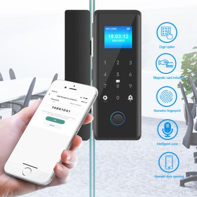 China Smart Tuya App Door Lock 3D Face Recognition Biometric Code Card Access For Office for sale