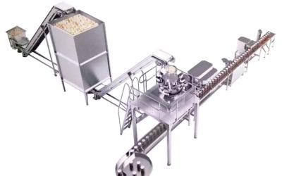 Cina alta velocità di plastica automatica del contenitore di cartone della macchina imballatrice 5000g dell'hardware 304ss in vendita