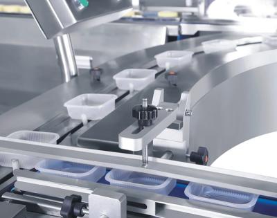 Cina Pane orizzontale del dolce della catena di montaggio di imballaggio per alimenti della tazza che alimenta Tray Loading Packing in vendita