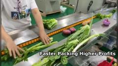 Large-scale vegetable packaging machine