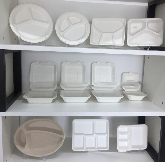 1500kg/day Fully Automatic Biodegradable Tableware Making Machine Rice Straw Paper Plate Machine Price Lunch Box Machine