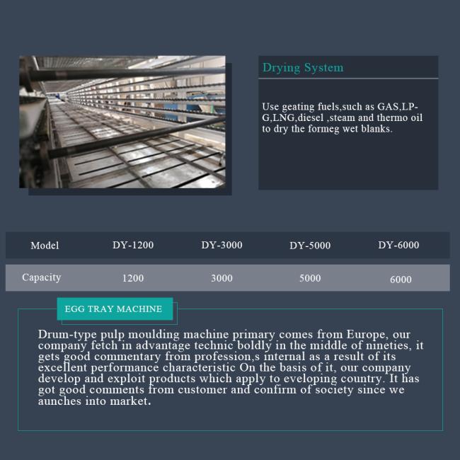 400-700pcs/hr Small business scale egg tray machine production line for chicken farming usage