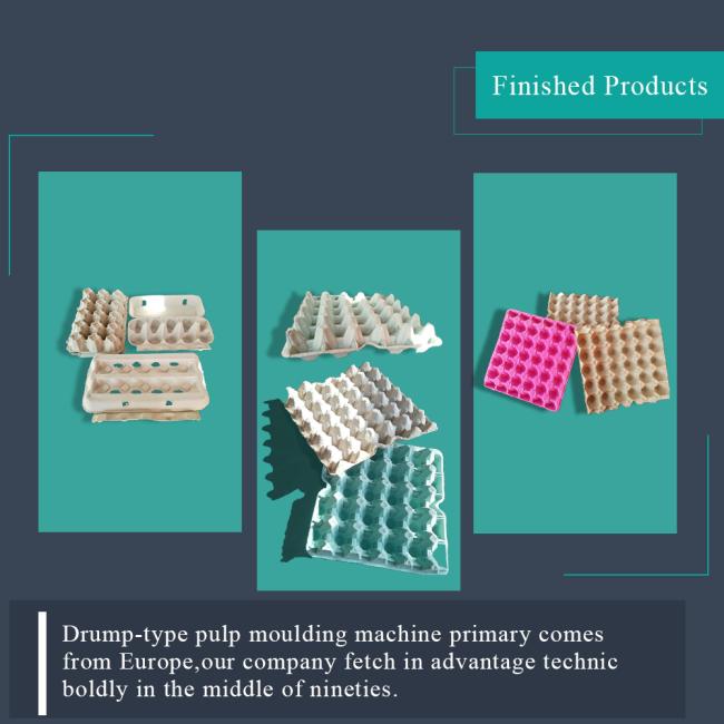 400-700pcs/hr Small business scale egg tray machine production line for chicken farming usage