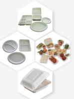 China automatic disposable Biodegradable sugarcane paper pulp food box making machine for sale