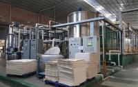 China automatic disposable Biodegradable sugarcane paper pulp food box making machine for sale