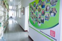 China disposable automatic plastic medical shoes cover making machine price for sale