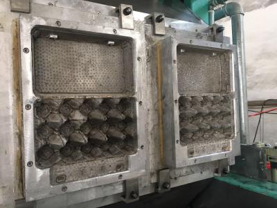 China 400-700pcs/hr Small business scale egg tray machine production line for chicken farming usage for sale