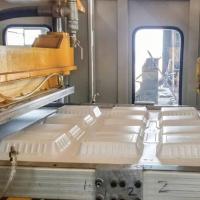 China Disposable fast food container making Machine for sale