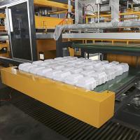 China foam food tray make machine for sale